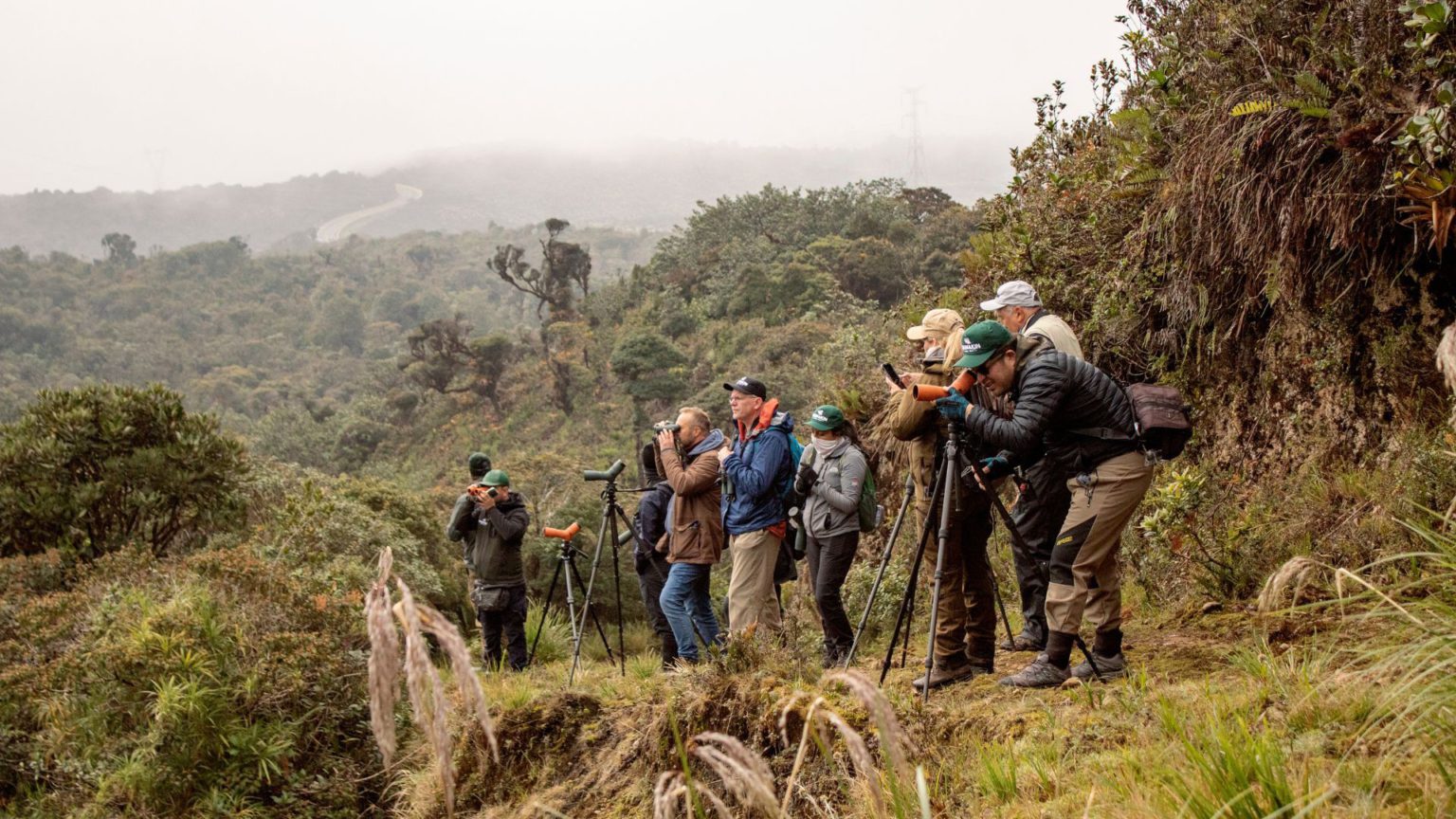 At The South of Colombia: Birding, Conservation and the New Swarovski ...