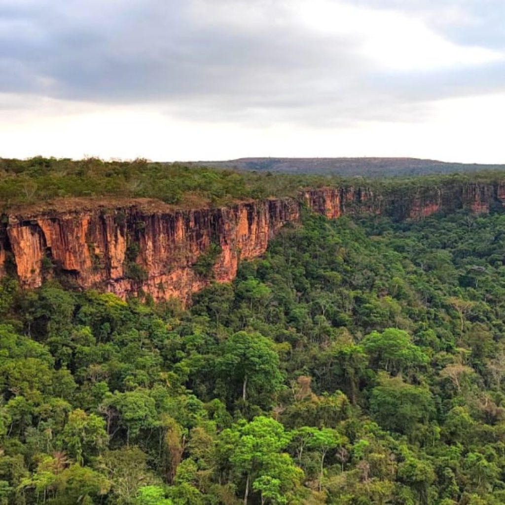 TRIP REPORT - BRAZIL "Land of Biodiversity" - Manakin Nature Tours