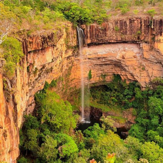 TRIP REPORT - BRAZIL "Land of Biodiversity" - Manakin Nature Tours