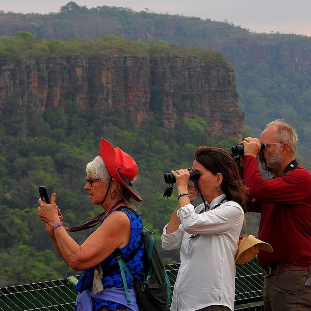TRIP REPORT - BRAZIL "Land of Biodiversity" - Manakin Nature Tours
