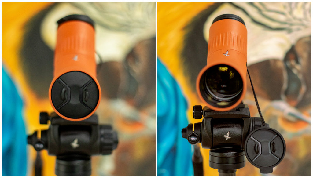 At The South of Colombia: Birding, Conservation and the New Swarovski ...