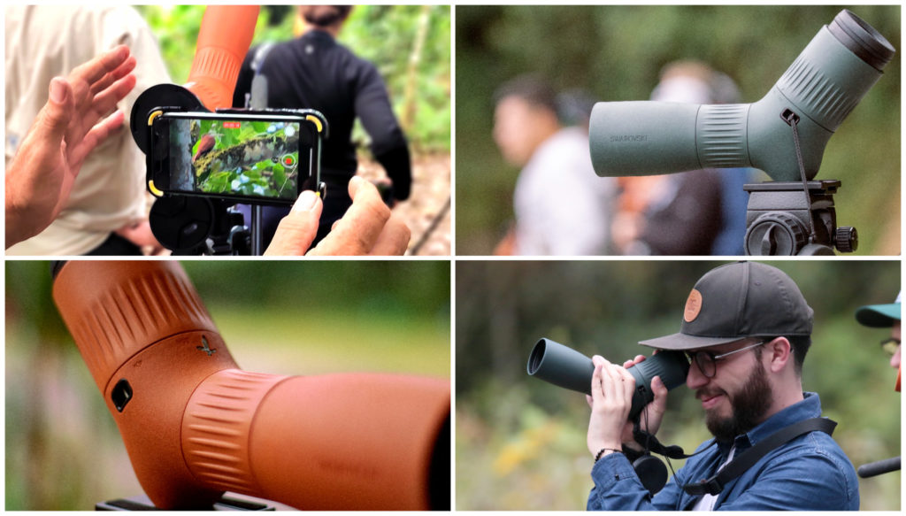 At The South of Colombia: Birding, Conservation and the New Swarovski ...