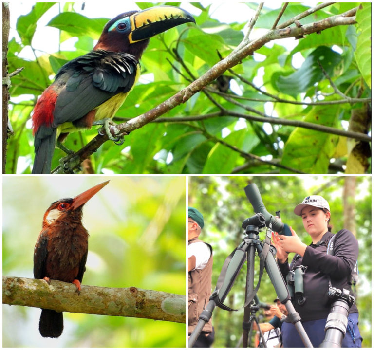 At The South of Colombia: Birding, Conservation and the New Swarovski ATC Spotting Scope ...