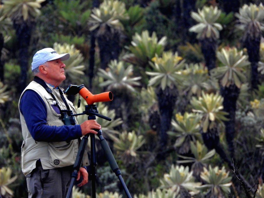 At The South of Colombia: Birding, Conservation and the New Swarovski ...