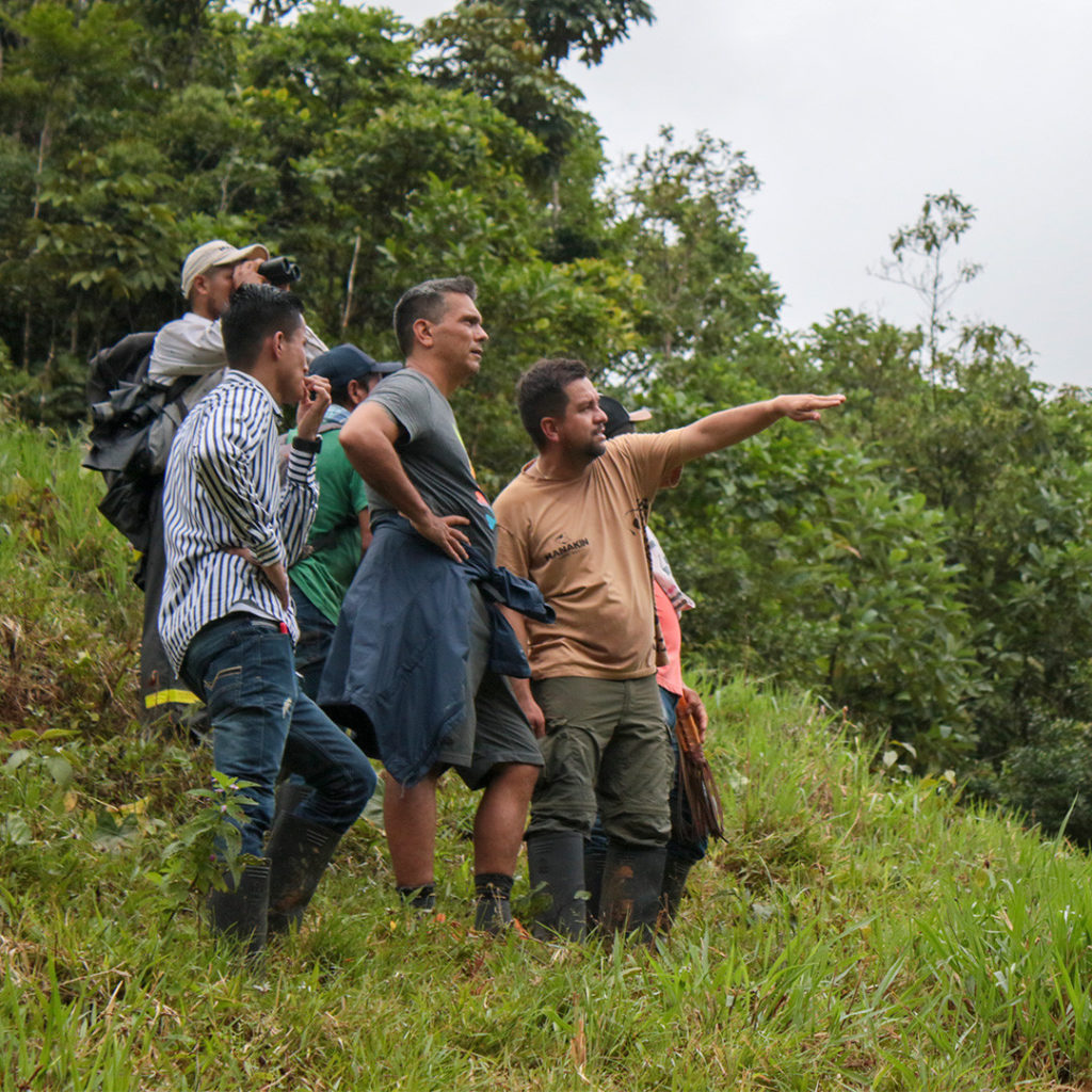 I SAVE THE HARPY EAGLE, Tourism, Community and Conservation - COLOMBIA ...