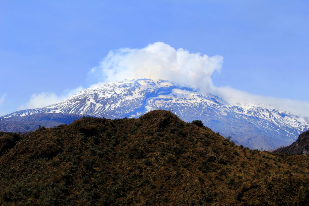 Immersion in the three Colombian mountain ranges in 2024! - Manakin ...