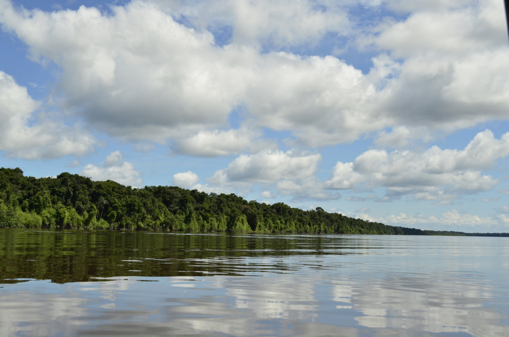 10 days into the unexplored Guainia - Manakin Nature Tours