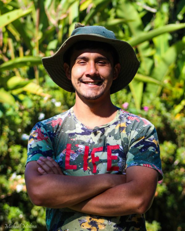 Michael Molina - Birding and Wildlife Professional Guide - Manakin ...