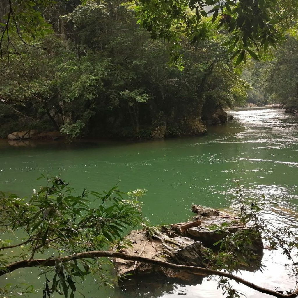 Trip report Magdalena Medio - RN Cañon del Río Claro - Manakin Nature Tours