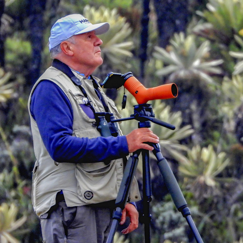At The South of Colombia: Birding, Conservation and the New Swarovski ...